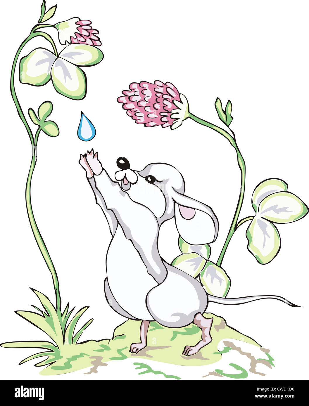 Mouse and drop of dew. Color vector illustration Stock Photo - Alamy