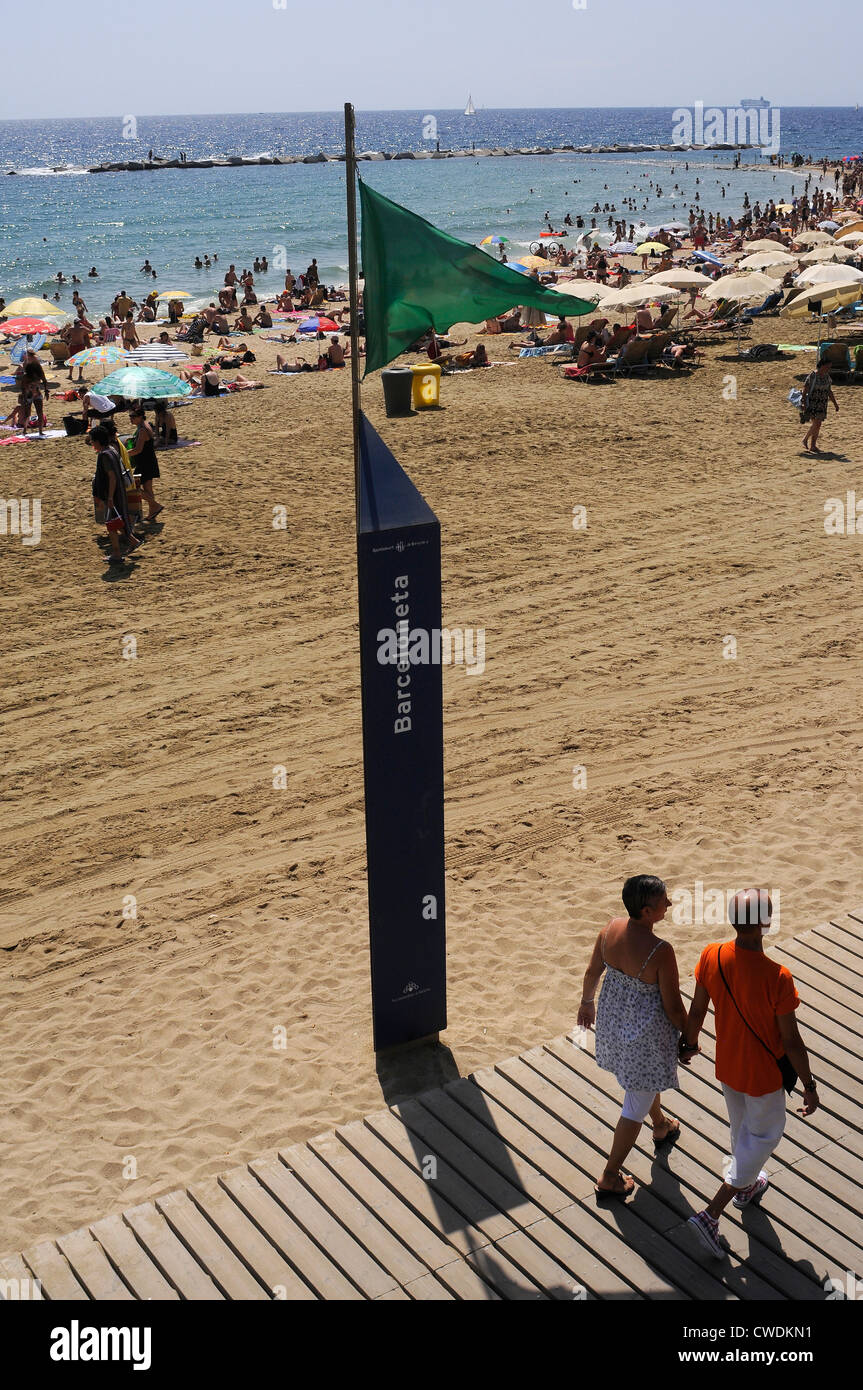 green flag indication beach services, security flag on the seaside ...