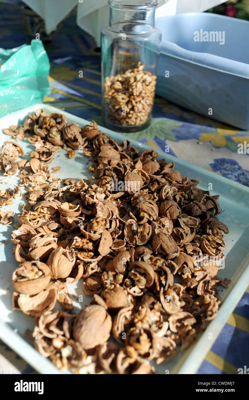 Crop dry out hi-res stock photography and images - Alamy