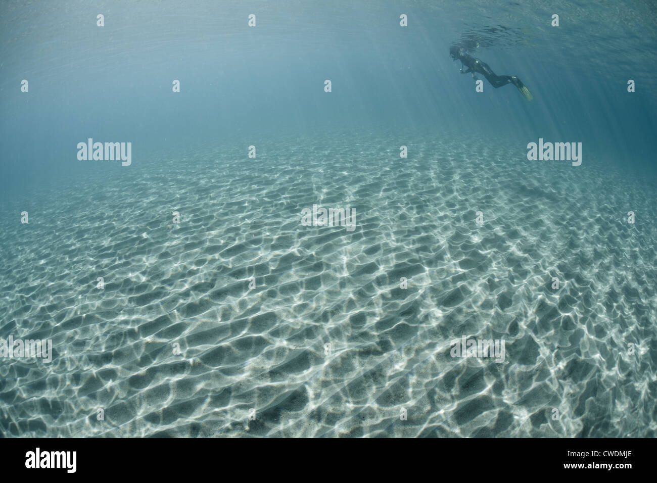 A snorkeler explores a white sand slope near a beach off Guadalcanal ...