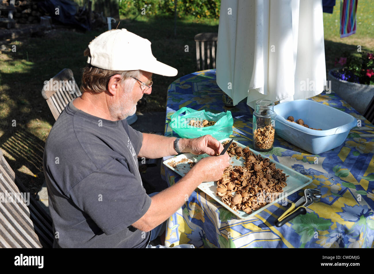 Dried out shell hi-res stock photography and images - Alamy
