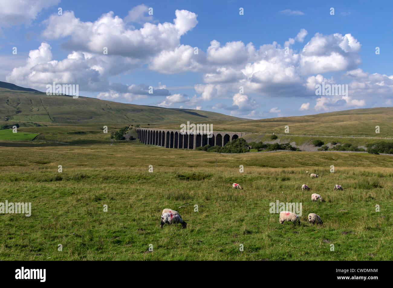 Ribblehead viaduct, Yorkshire Dales Stock Photo - Alamy