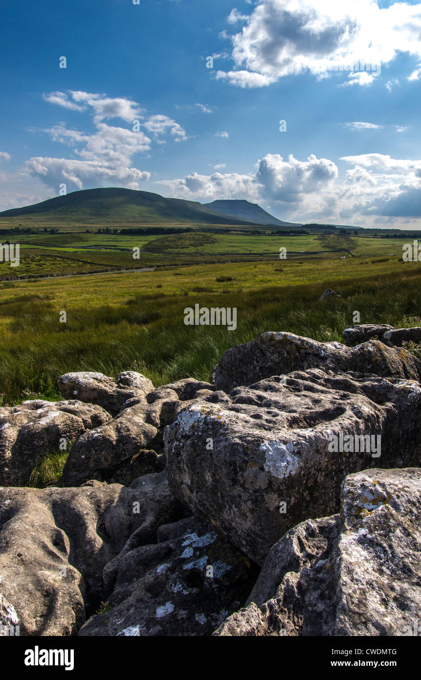 Ribblesdale limestone hi-res stock photography and images - Alamy