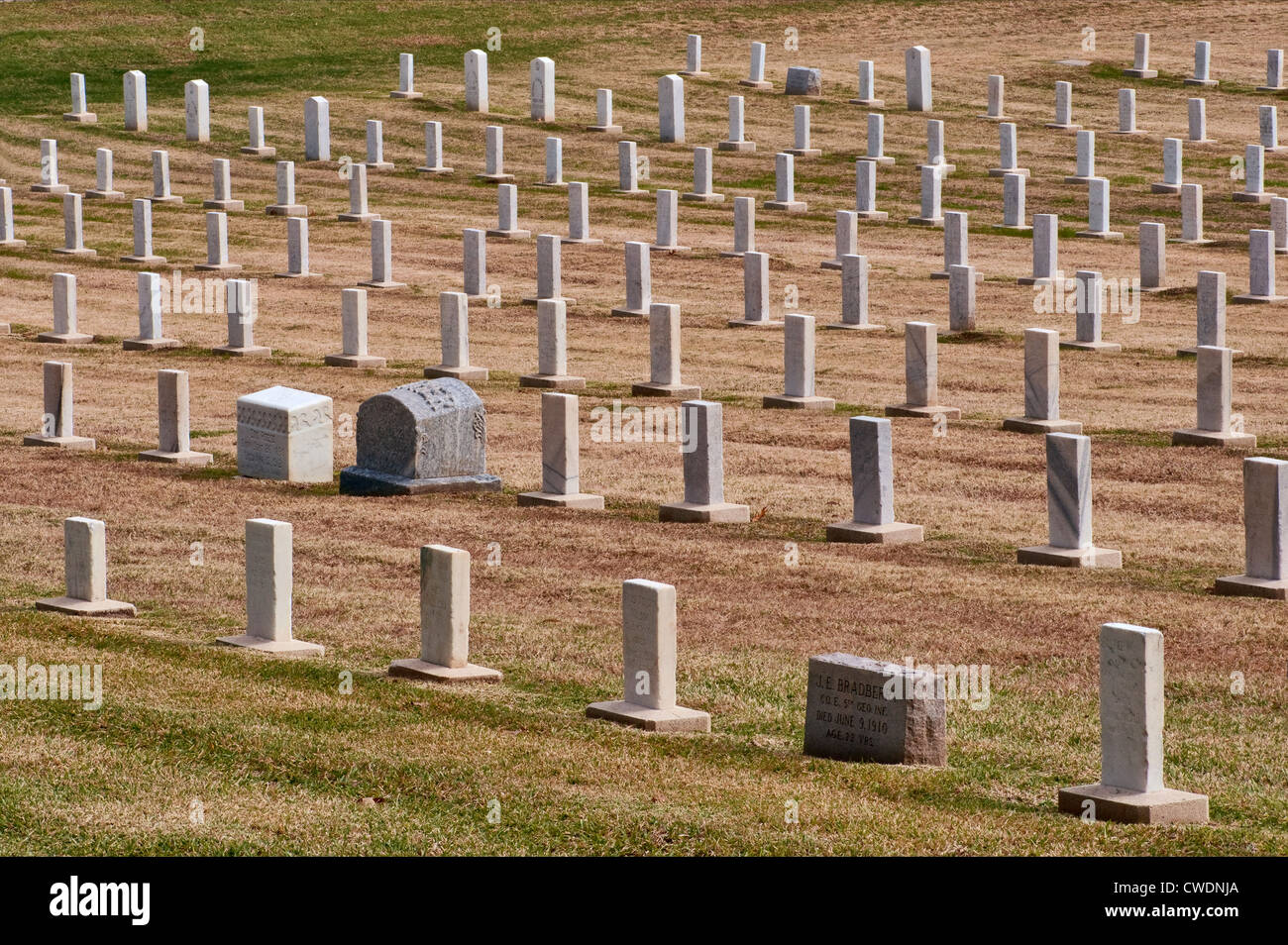 Graves at Confederate Field, Texas State Cemetery in Austin, Texas, USA ...