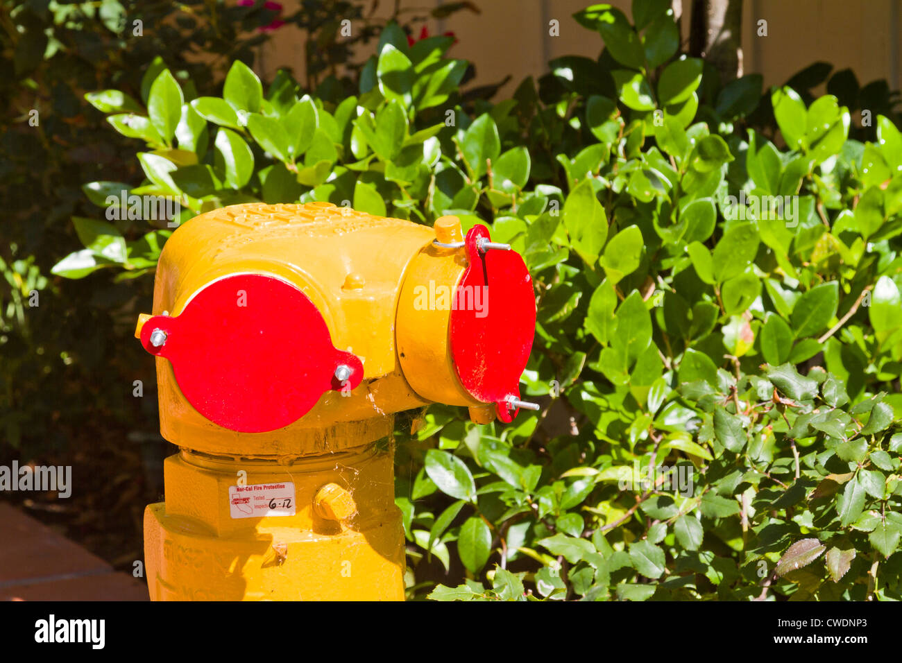 Colorful fire hydrant hi-res stock photography and images - Alamy