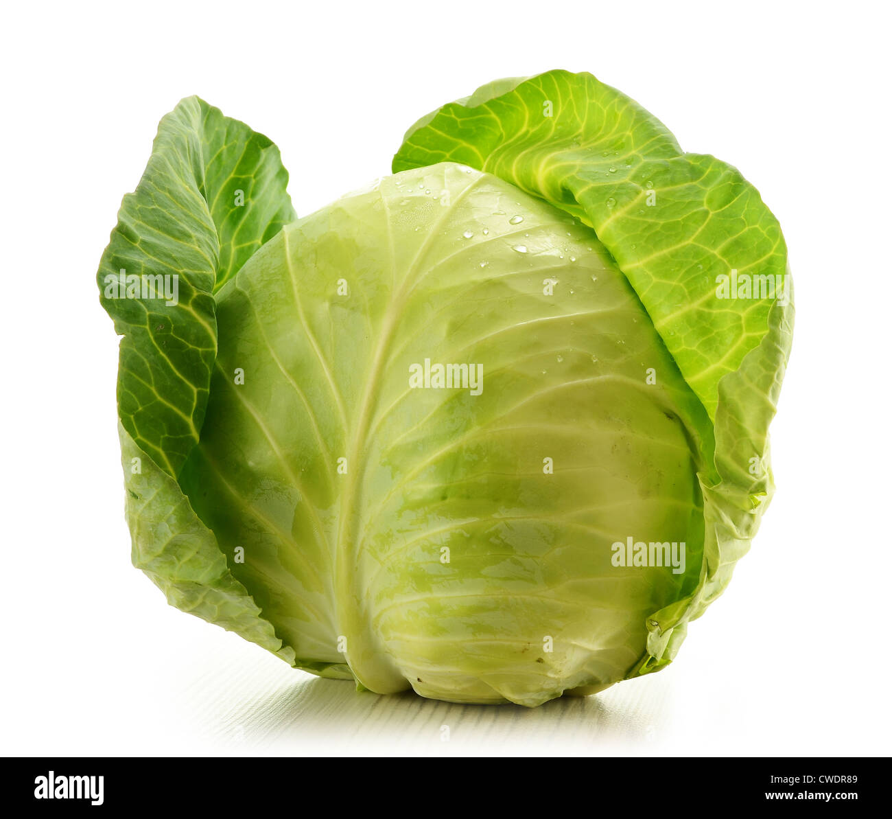 Cabbage isolated on white Stock Photo - Alamy