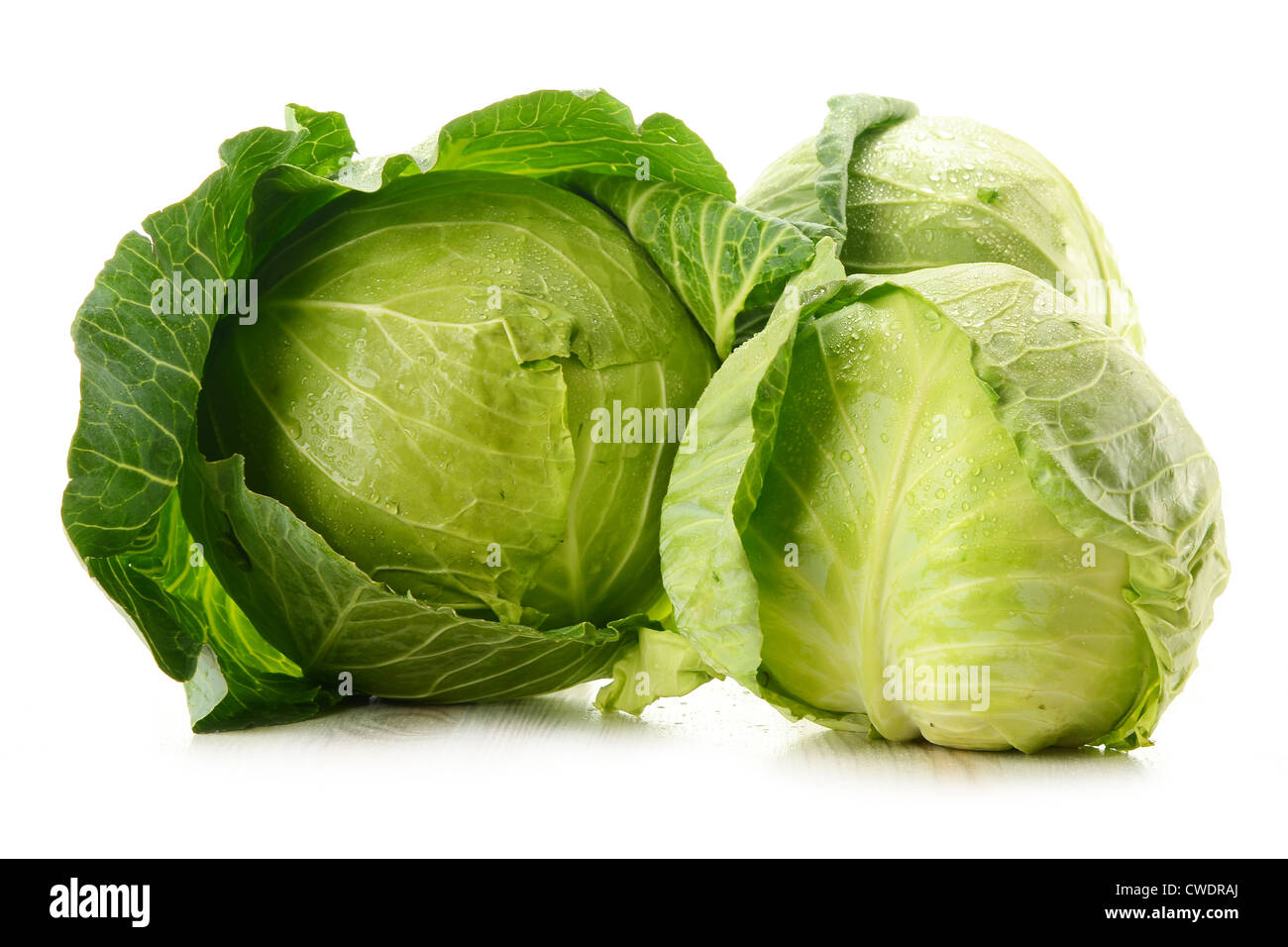 Cabbage isolated on white Stock Photo - Alamy