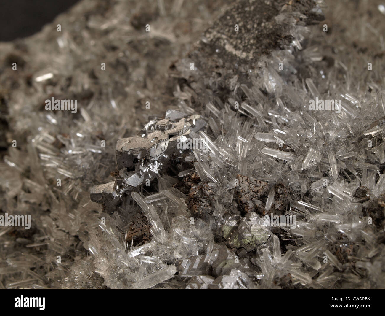 Galena and quartz; Baia Mare, Romania. Photograph covers an area of ...