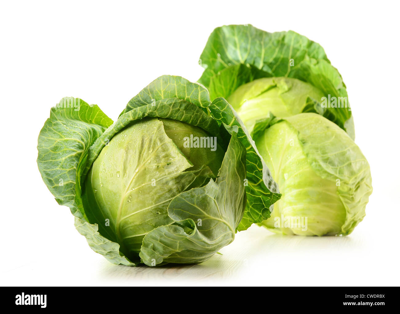 Cabbage isolated on white Stock Photo - Alamy