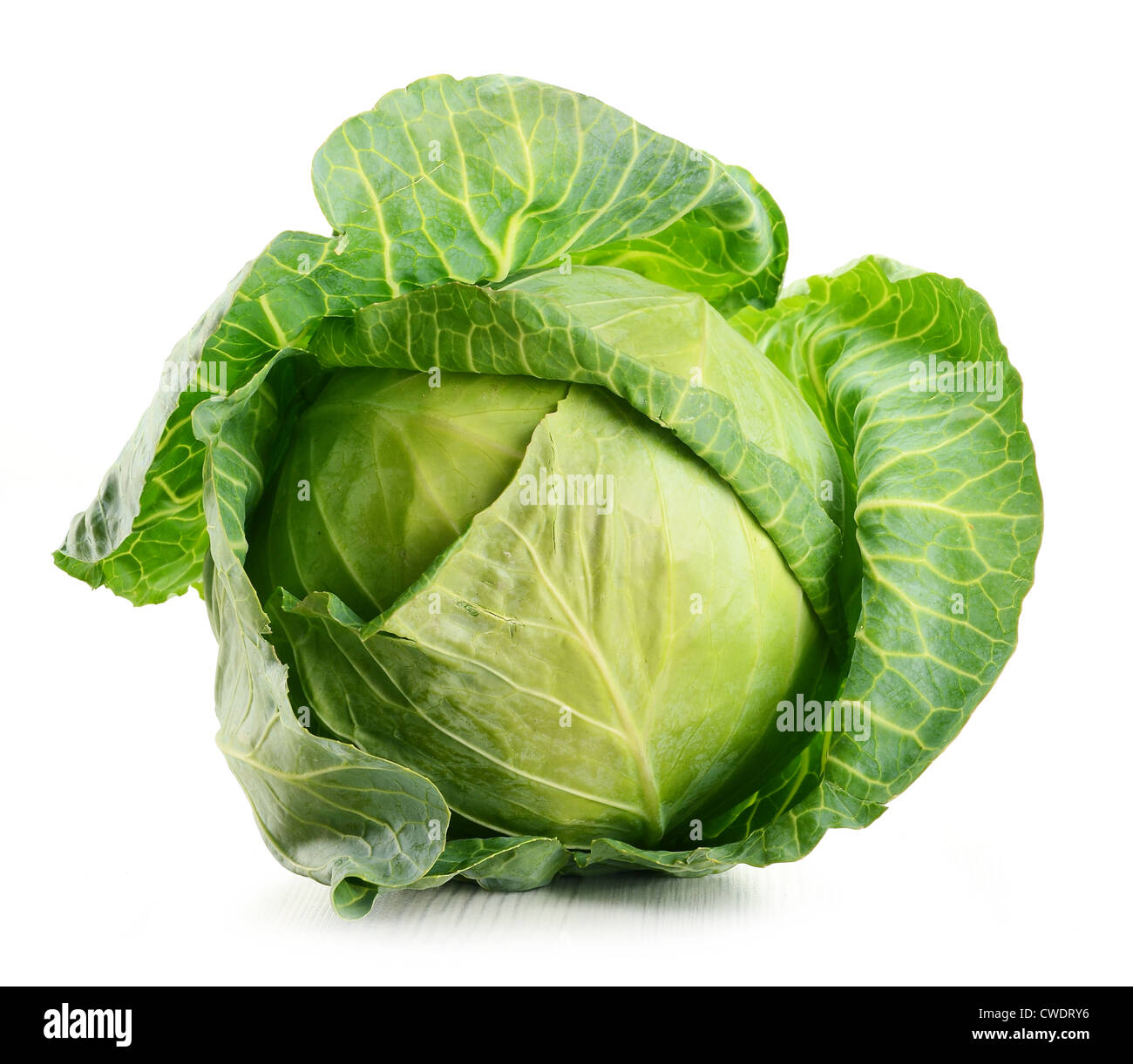 Cabbage isolated on white Stock Photo - Alamy