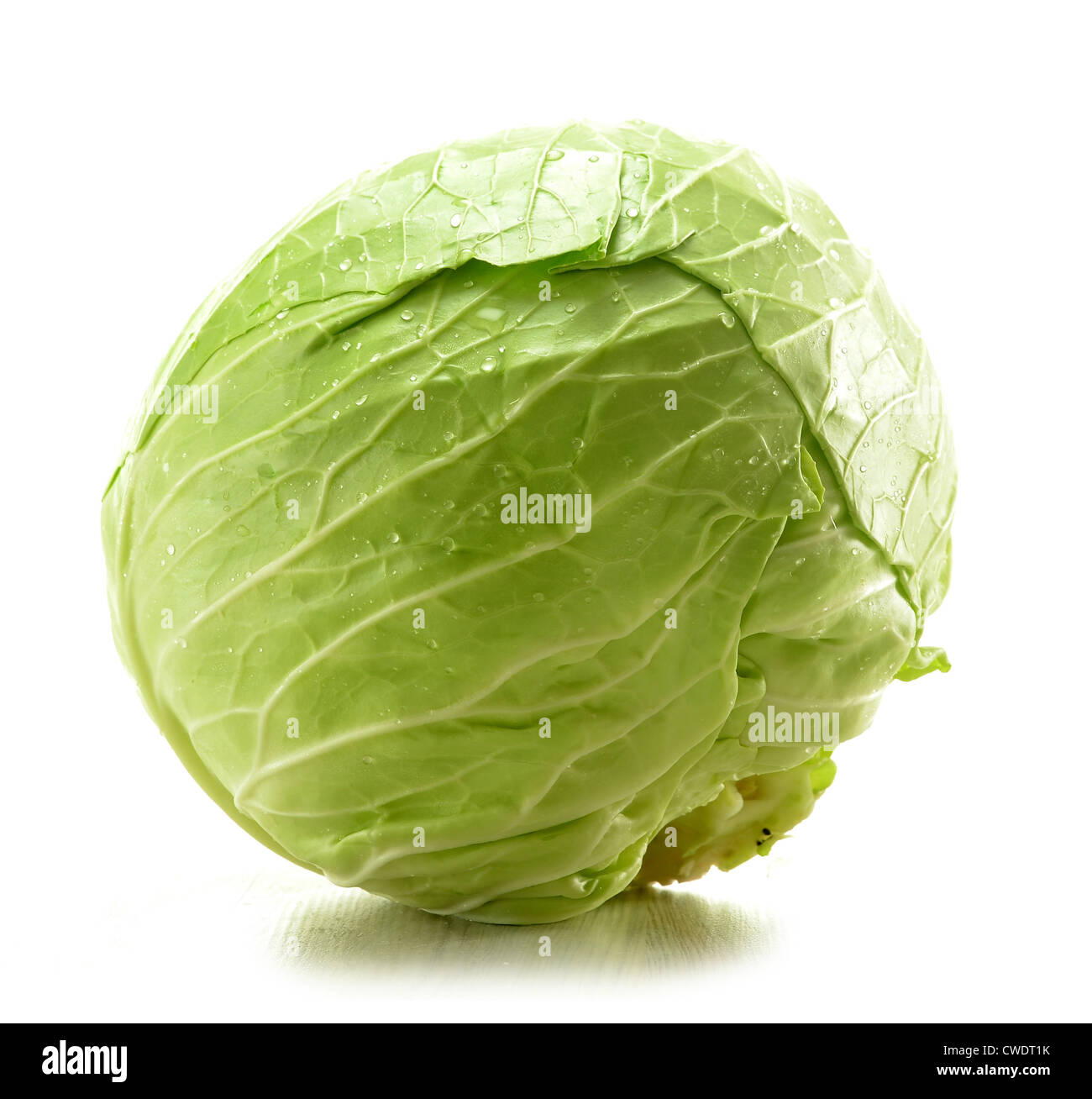 Cabbage isolated on white Stock Photo - Alamy