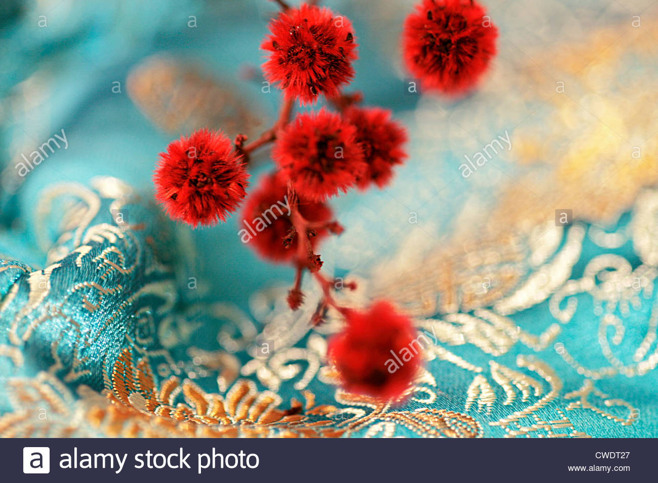 Tuft Flower Stock Photos & Tuft Flower Stock Images - Alamy