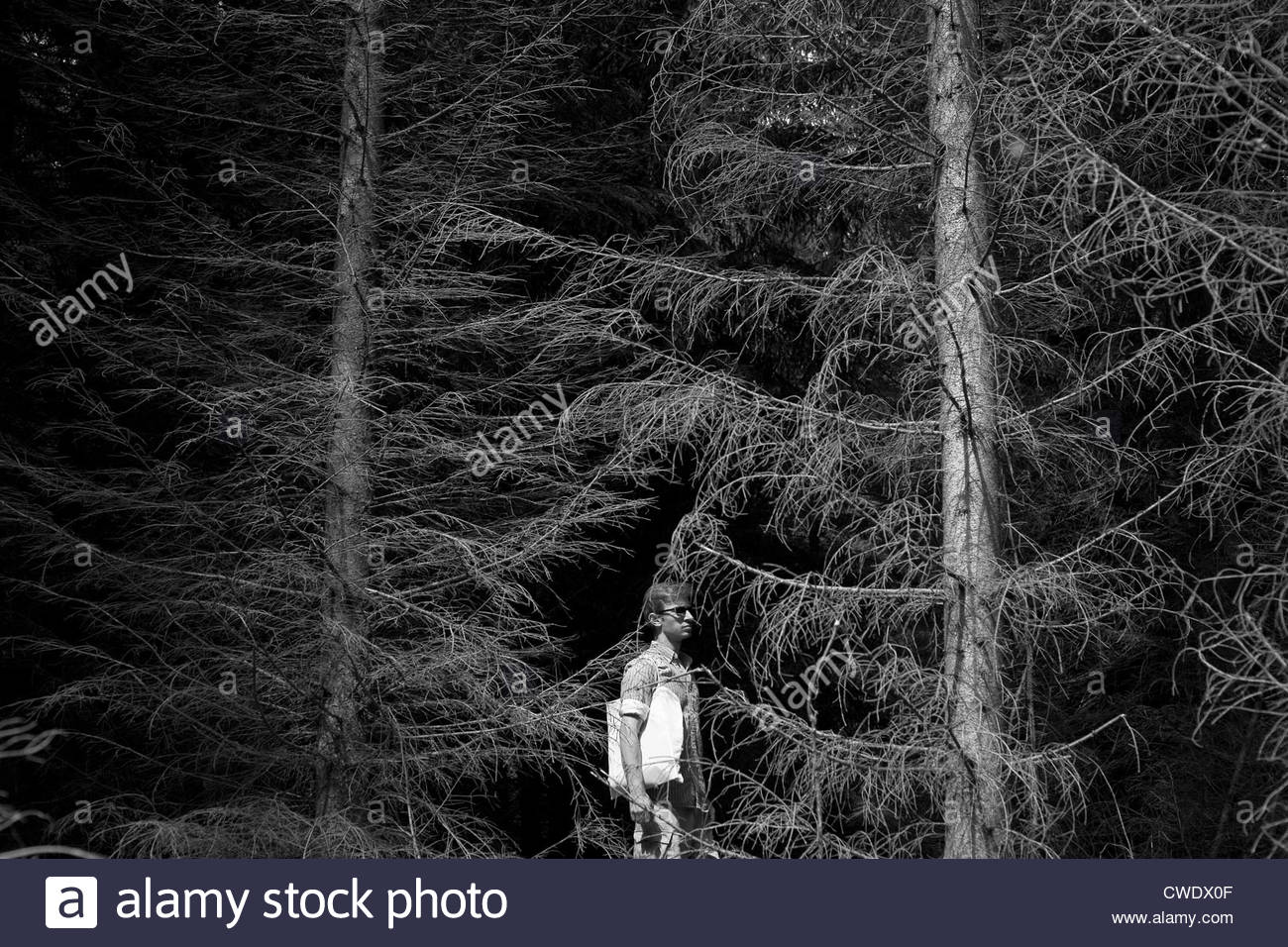 Human Destruction Stock Photos & Human Destruction Stock Images - Alamy