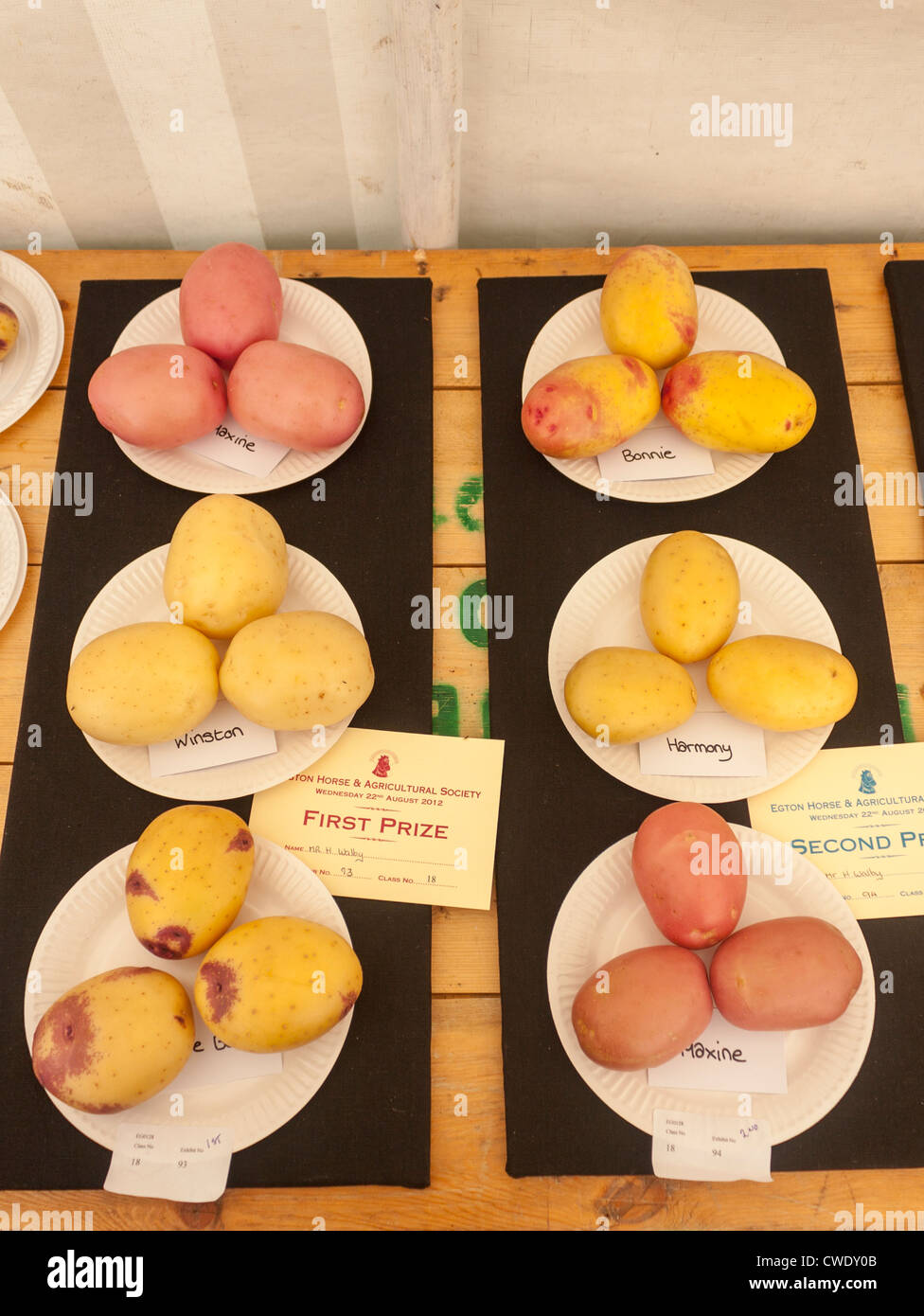 Egton agricultural village show near Whitby, North Yorkshire, England ...