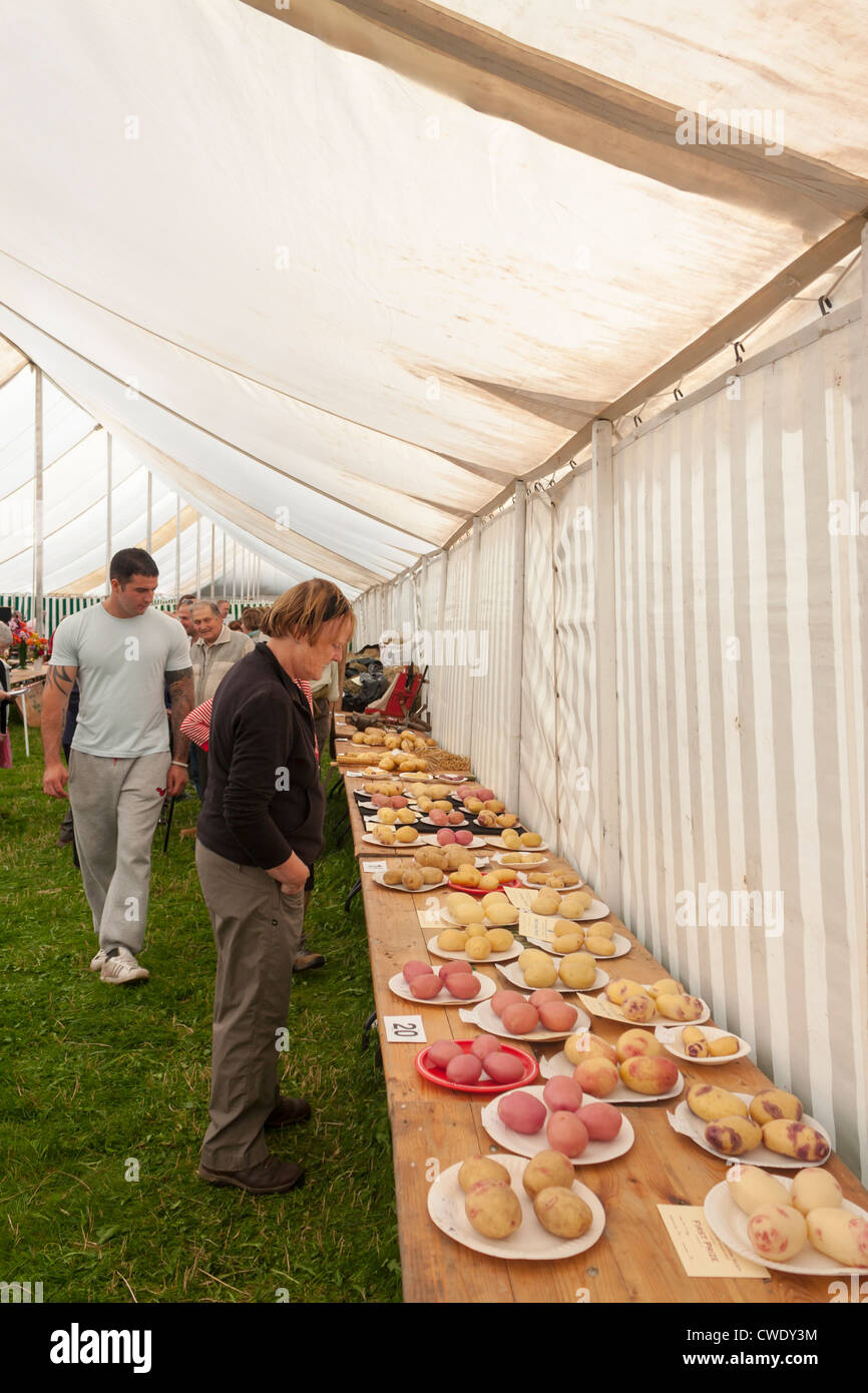Village vegetable show hi-res stock photography and images - Alamy