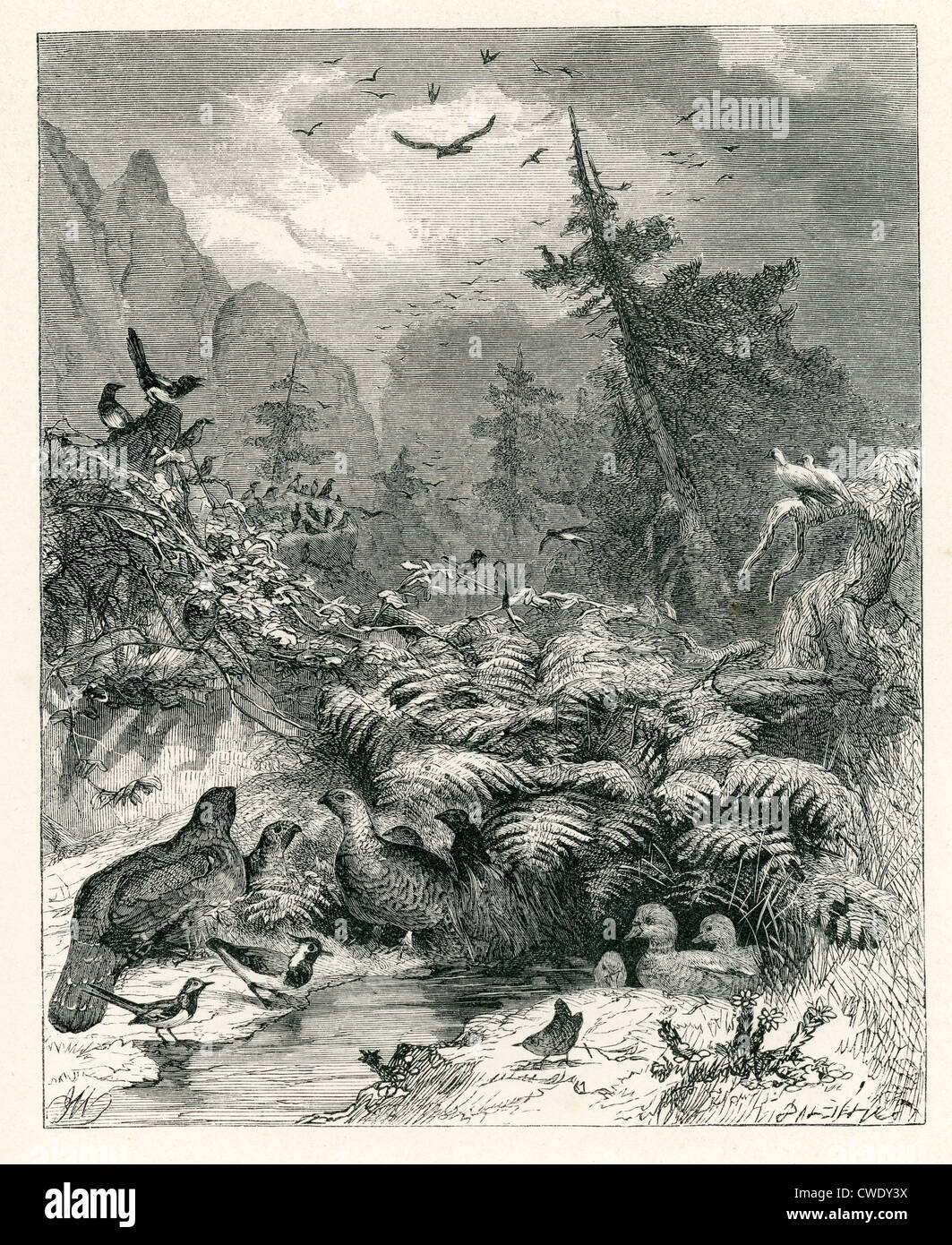 Wilderness landscape woodcut hi-res stock photography and images - Alamy