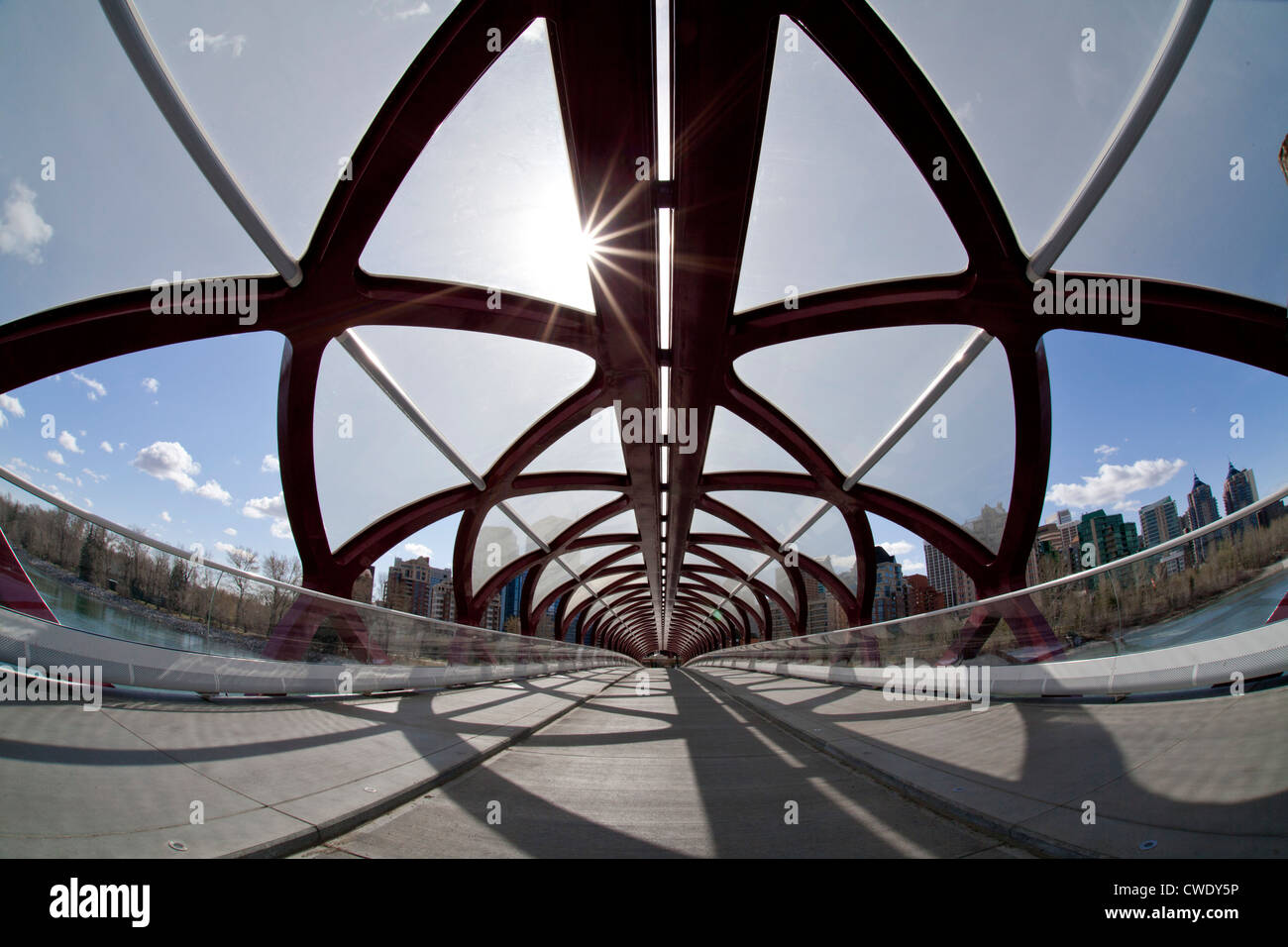 Calgary Peace Bridge, Calgary Alberta, fish-eye view, with sun flare ...