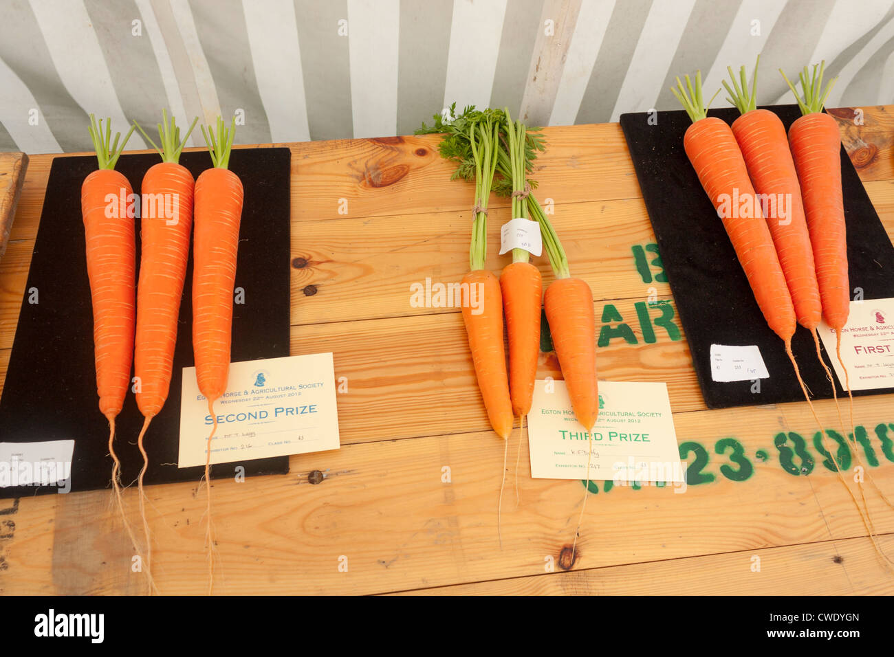 Egton agricultural village show near Whitby, North Yorkshire, England ...