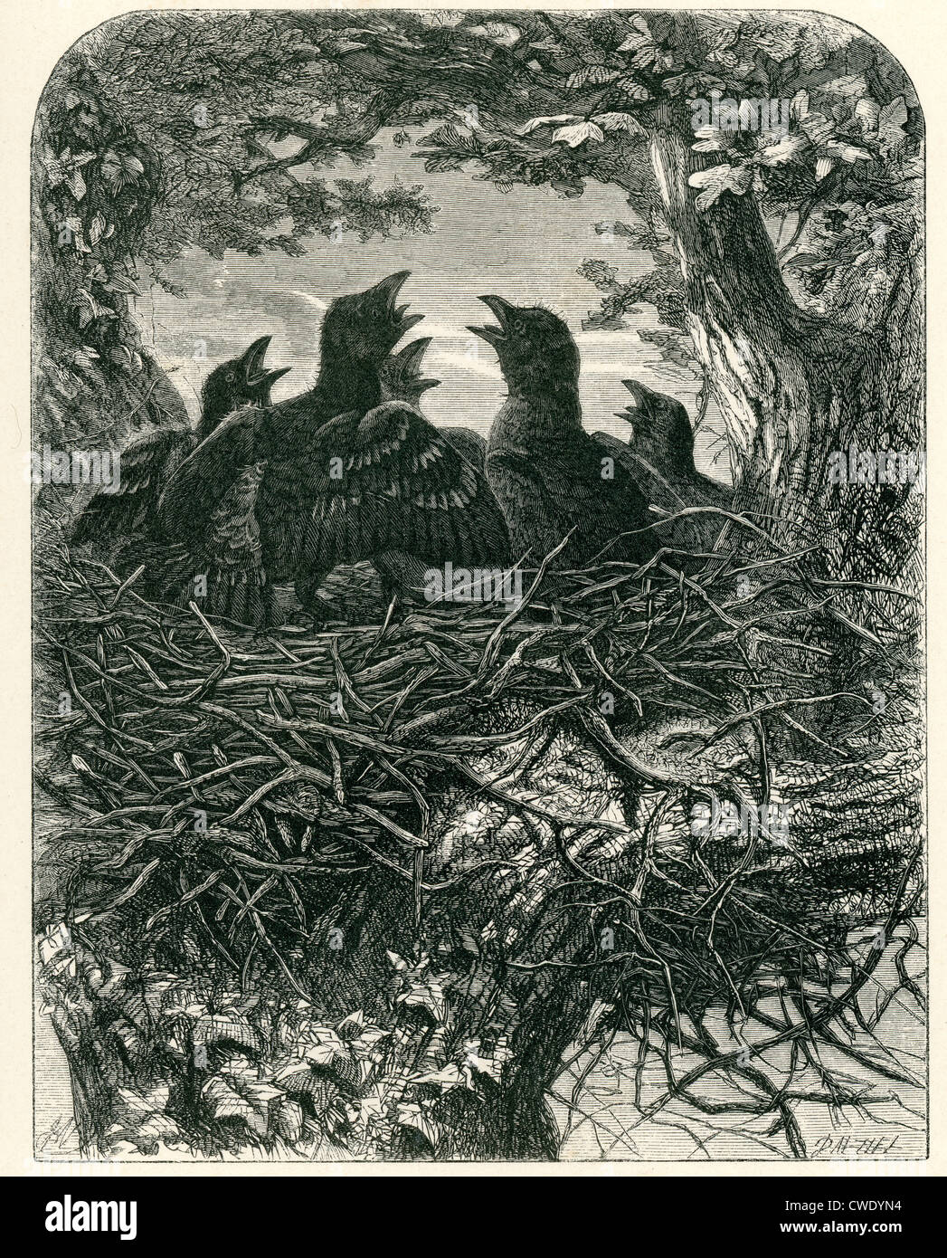 God's argument with Job by J Wolk. When pain'd with hunger, the wild ...