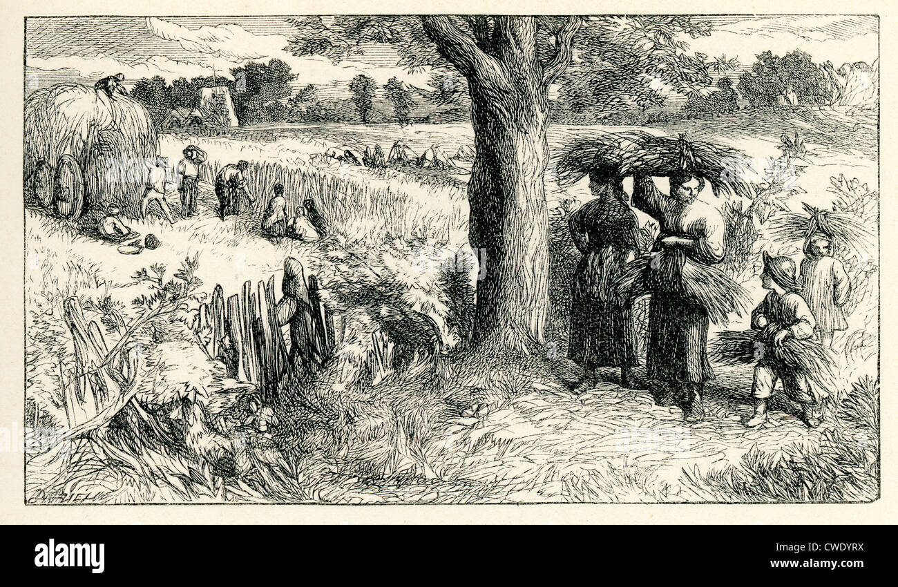 Farm workers 19th century hi-res stock photography and images - Alamy