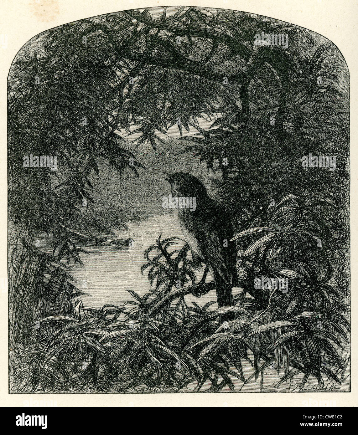 A Truant Hour by J Wolf Stock Photo - Alamy