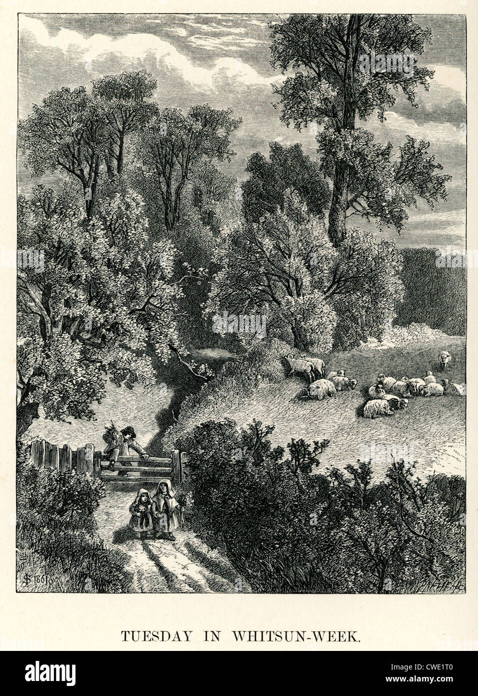 Tuesday in Whitsun Week by J Sliegh. Summer blooms with glorious ...