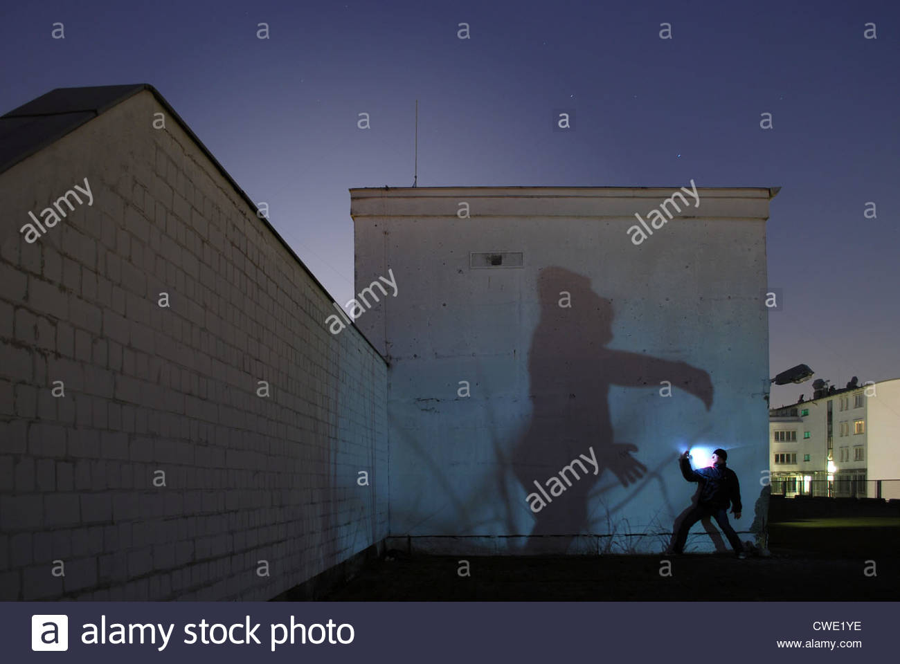 Dwarf Wall Stock Photos & Dwarf Wall Stock Images - Alamy