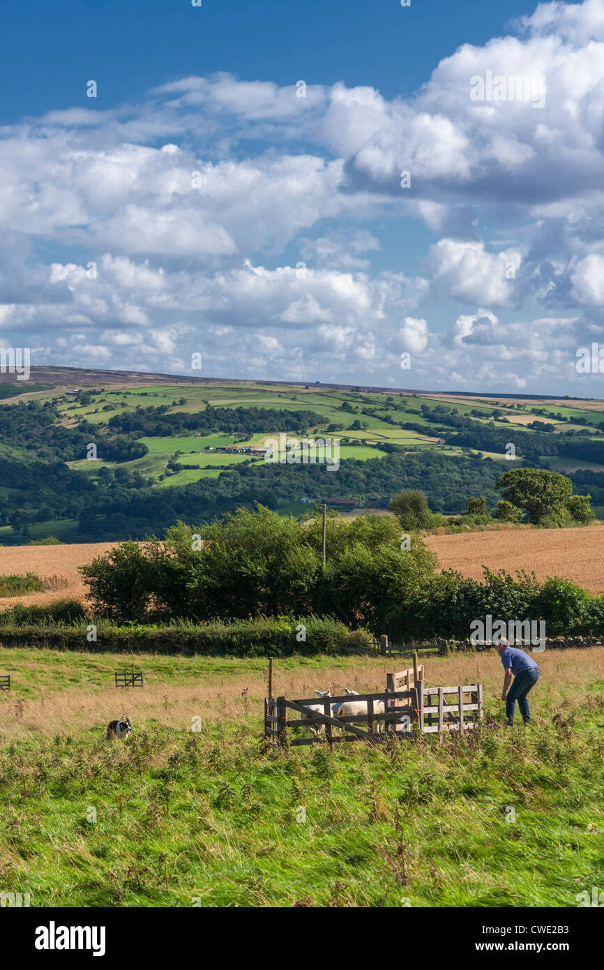 Egton Village agricultural show, near Whitby, North Yorkshire Stock Photo - Alamy