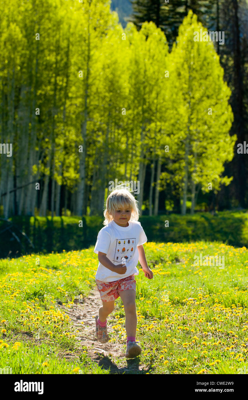 Engineer trail hi-res stock photography and images - Alamy