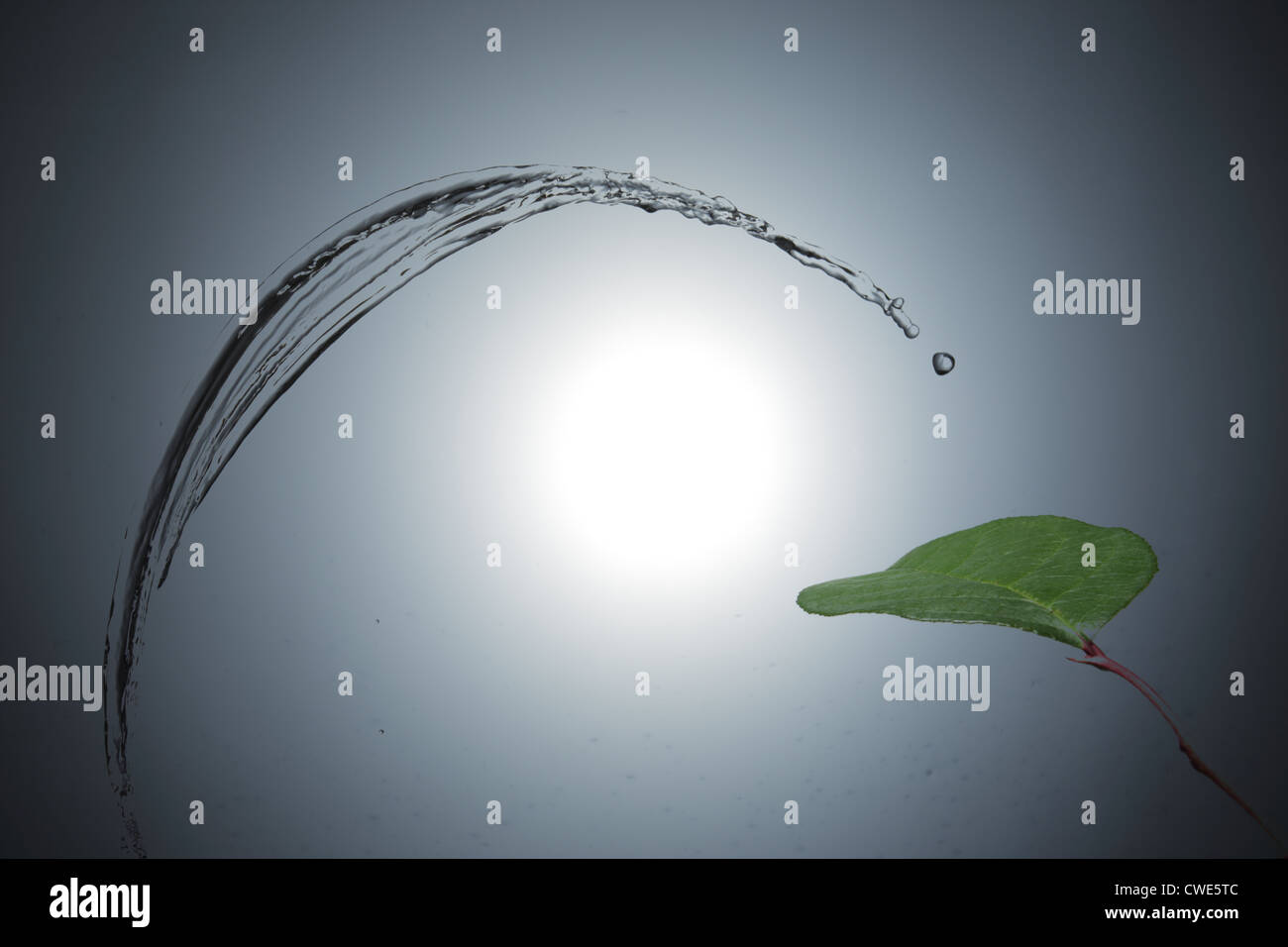 Single Leaf And Water Wave Stock Photo - Alamy