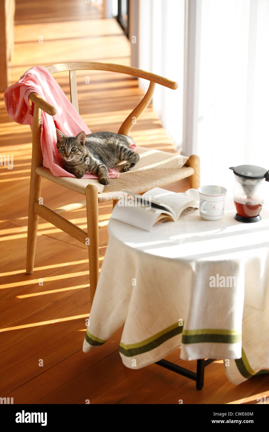 Cat Relaxing On Chair, Round Table Covered By Tablecloth Stock Photo ...