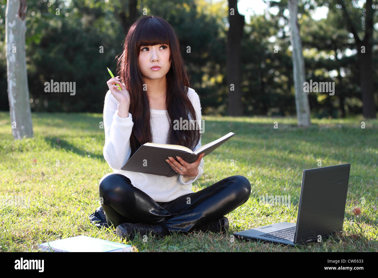 A smiling Asian student is studying Stock Photo - Alamy