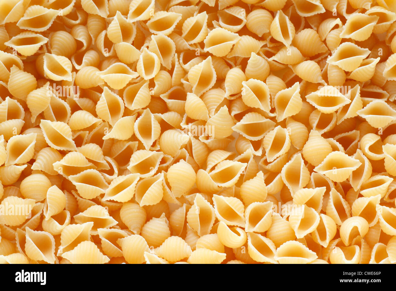 Full Frame Of Seashell Stock Photo - Alamy