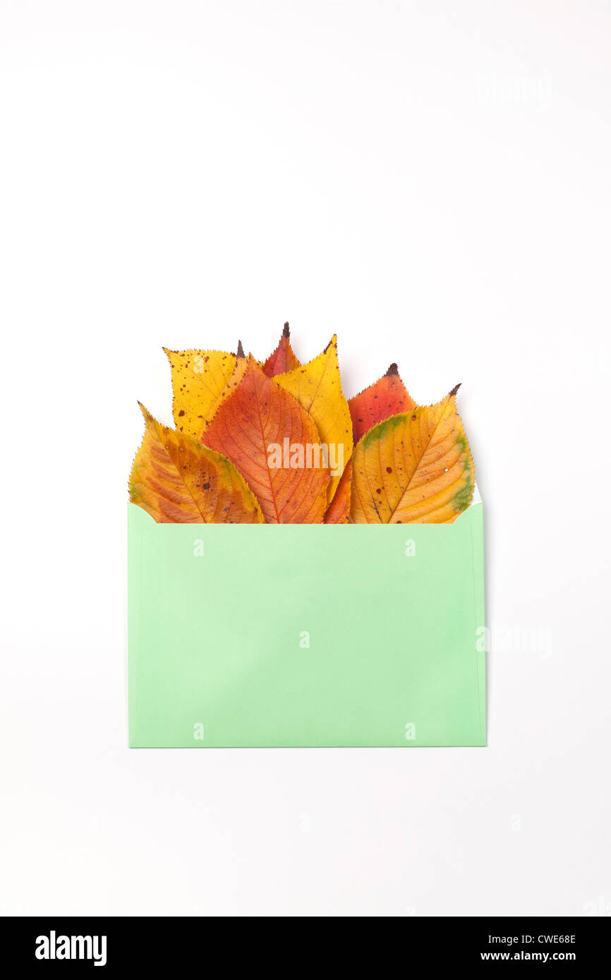 Autumn Leaves In Envelope Stock Photo - Alamy