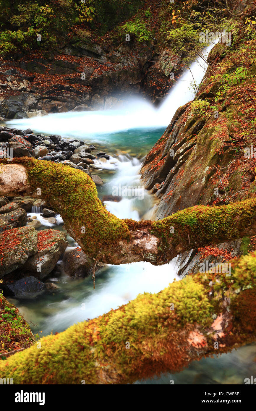 Waterfall In Forest Stock Photo - Alamy