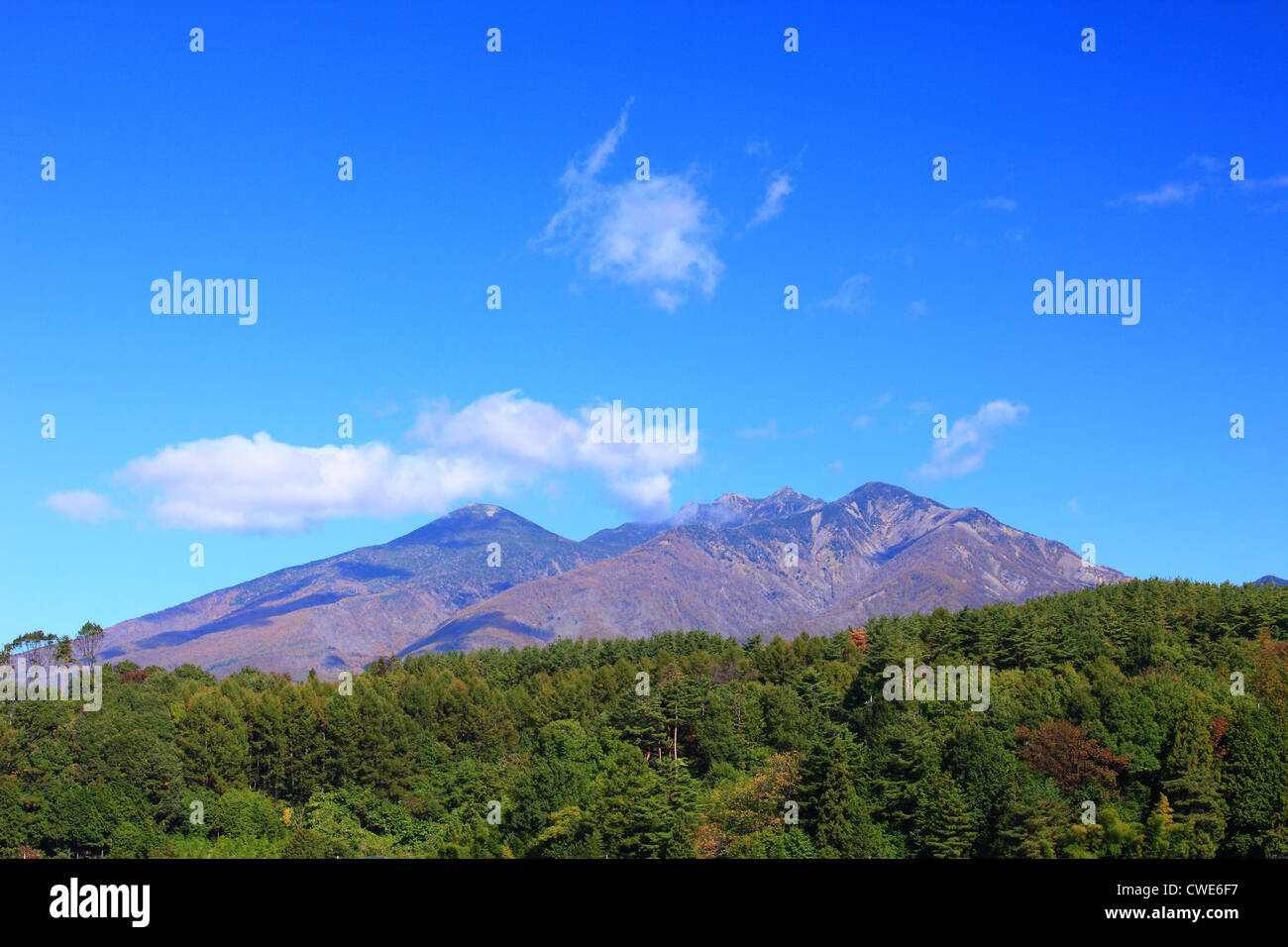 Mountain range trees hi-res stock photography and images - Alamy