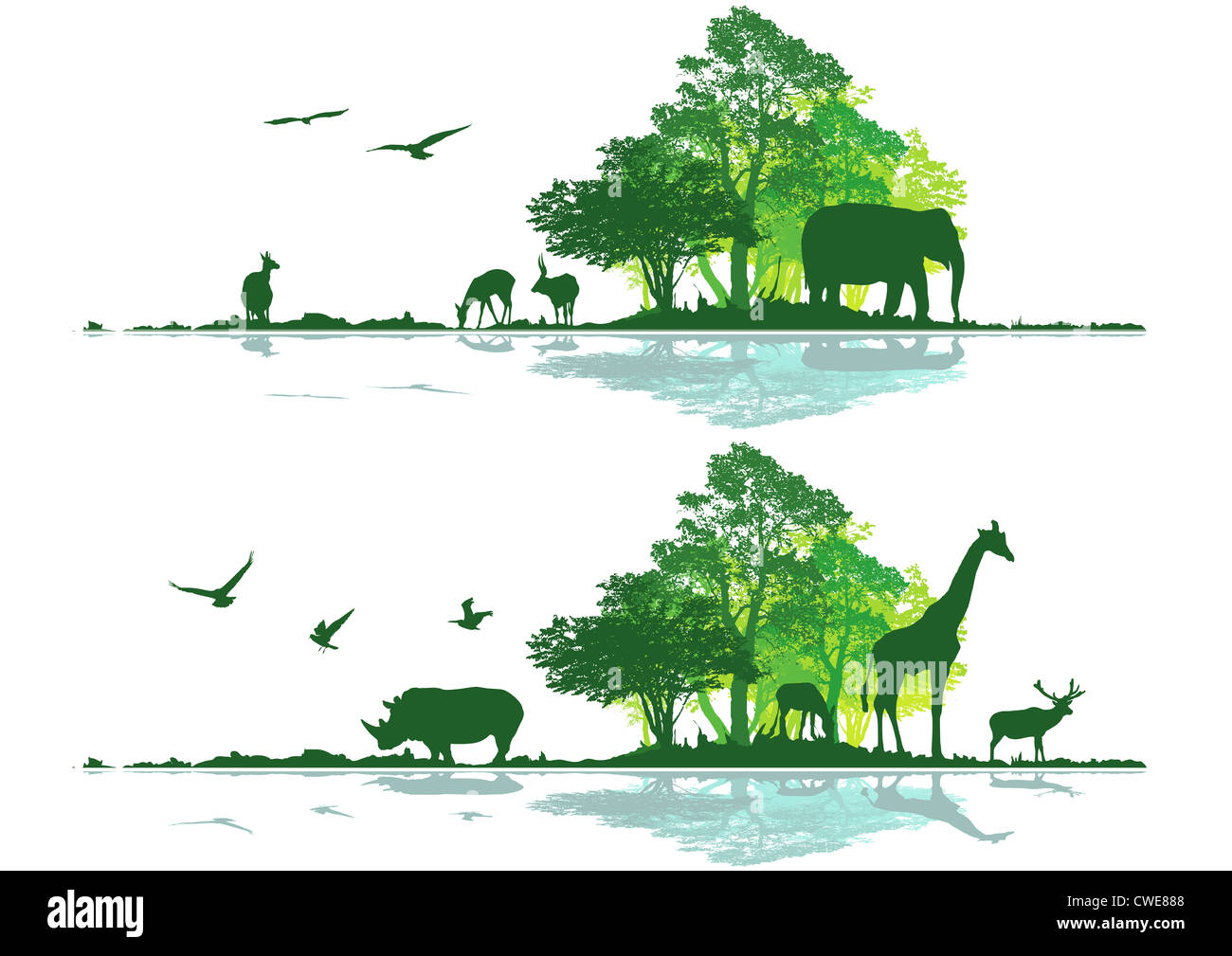 Wildlife Illustration, Animals And Trees Stock Photo - Alamy