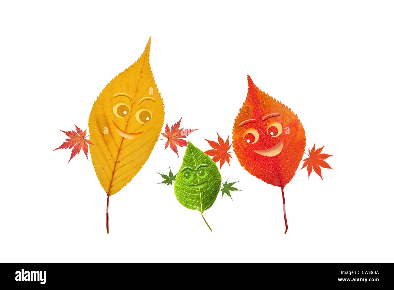 Smiley Leaves On White Stock Photo - Alamy