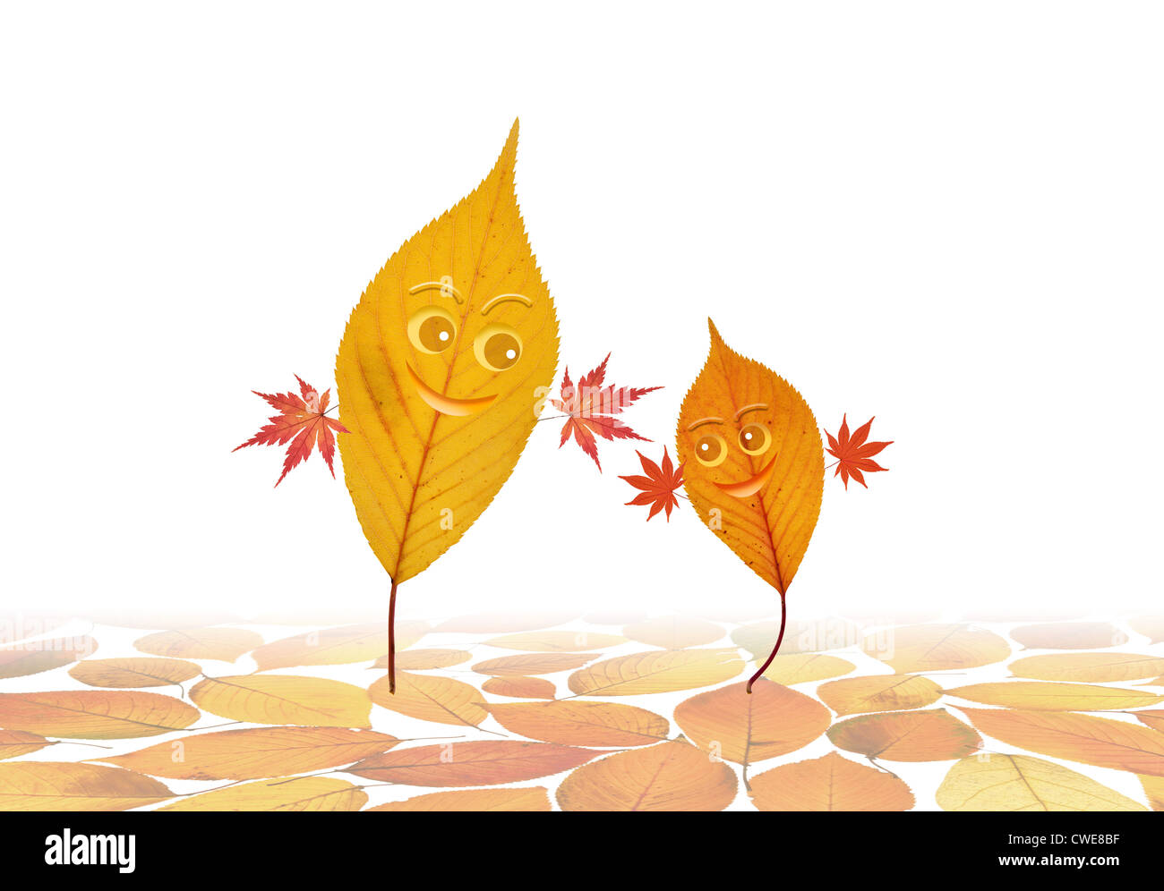 Floating Smiley Leaves, Fallen Leaves Stock Photo - Alamy