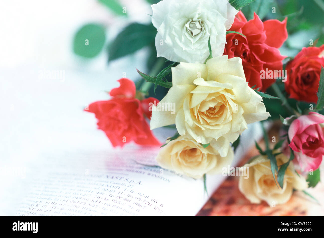 Bunch Of Roses Stock Photo - Alamy