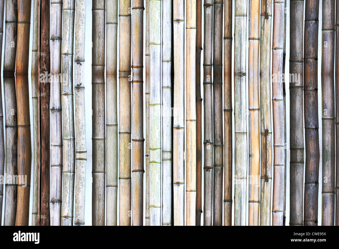 Japanese style bamboo fence hi-res stock photography and images - Alamy