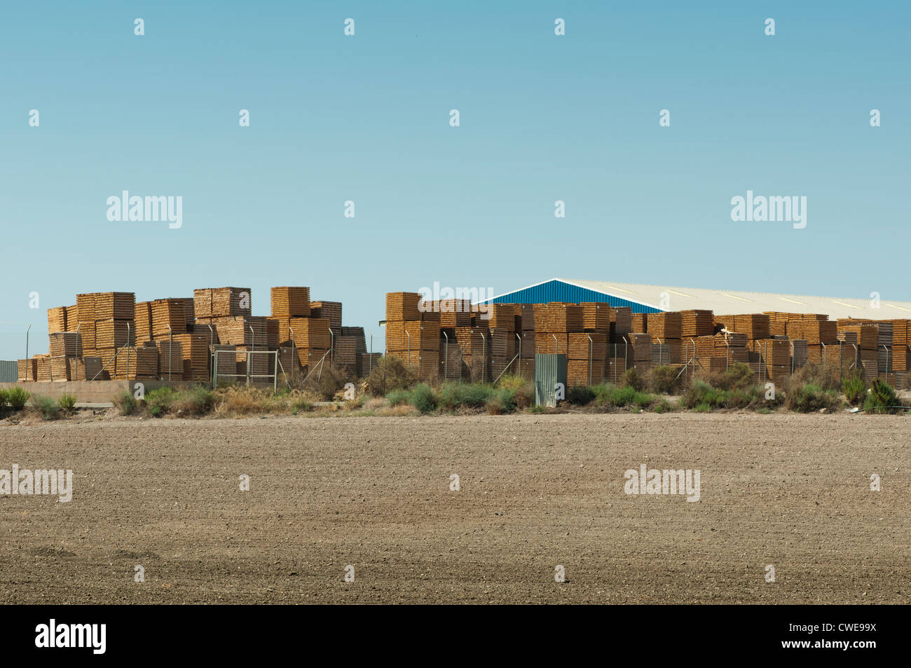 Factory production of pallets. Big warehouse outside Stock Photo - Alamy