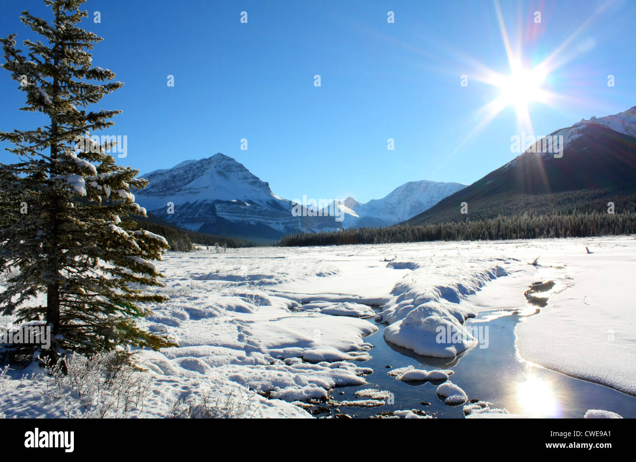 Beautiful mountain in snowy alberta hi-res stock photography and images ...