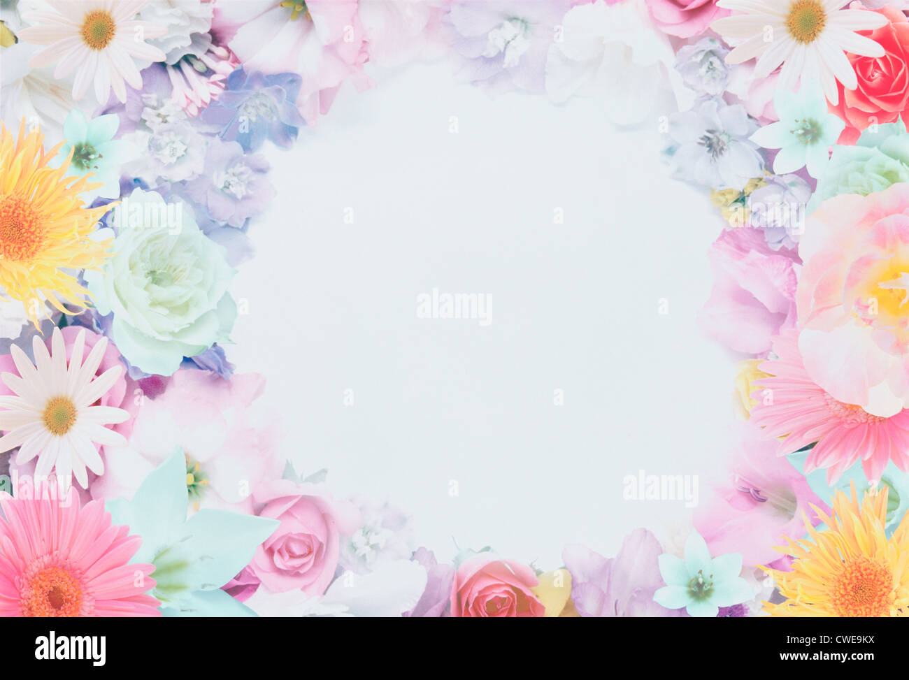 Colorful Floral Background Stock Photo - Alamy