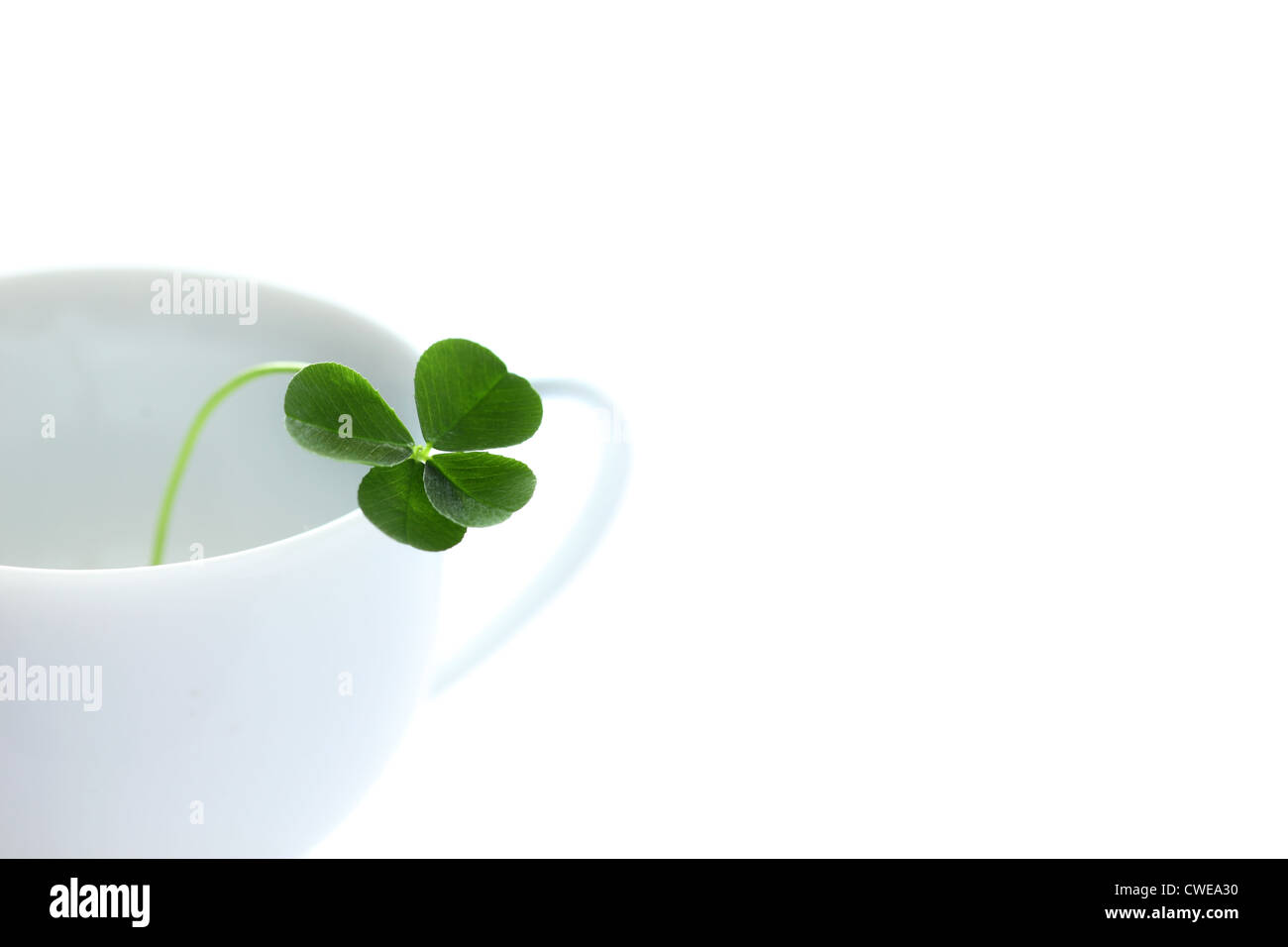 Four Leaf Clover In Coffee Cup Stock Photo - Alamy