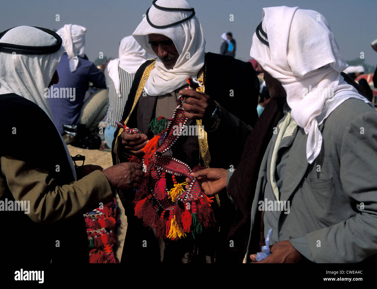 Bedouin men choosing camel halters, Negev Desert market, Israel Stock ...