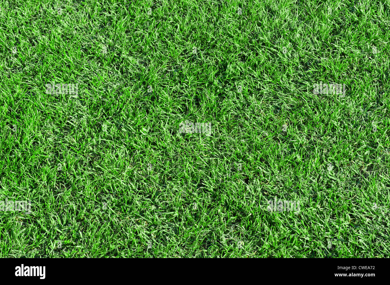 Horizontal field hi-res stock photography and images - Alamy