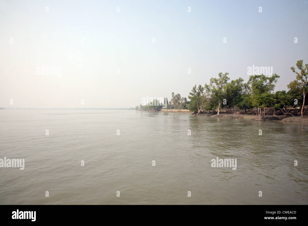 Ganges river delta hi-res stock photography and images - Alamy
