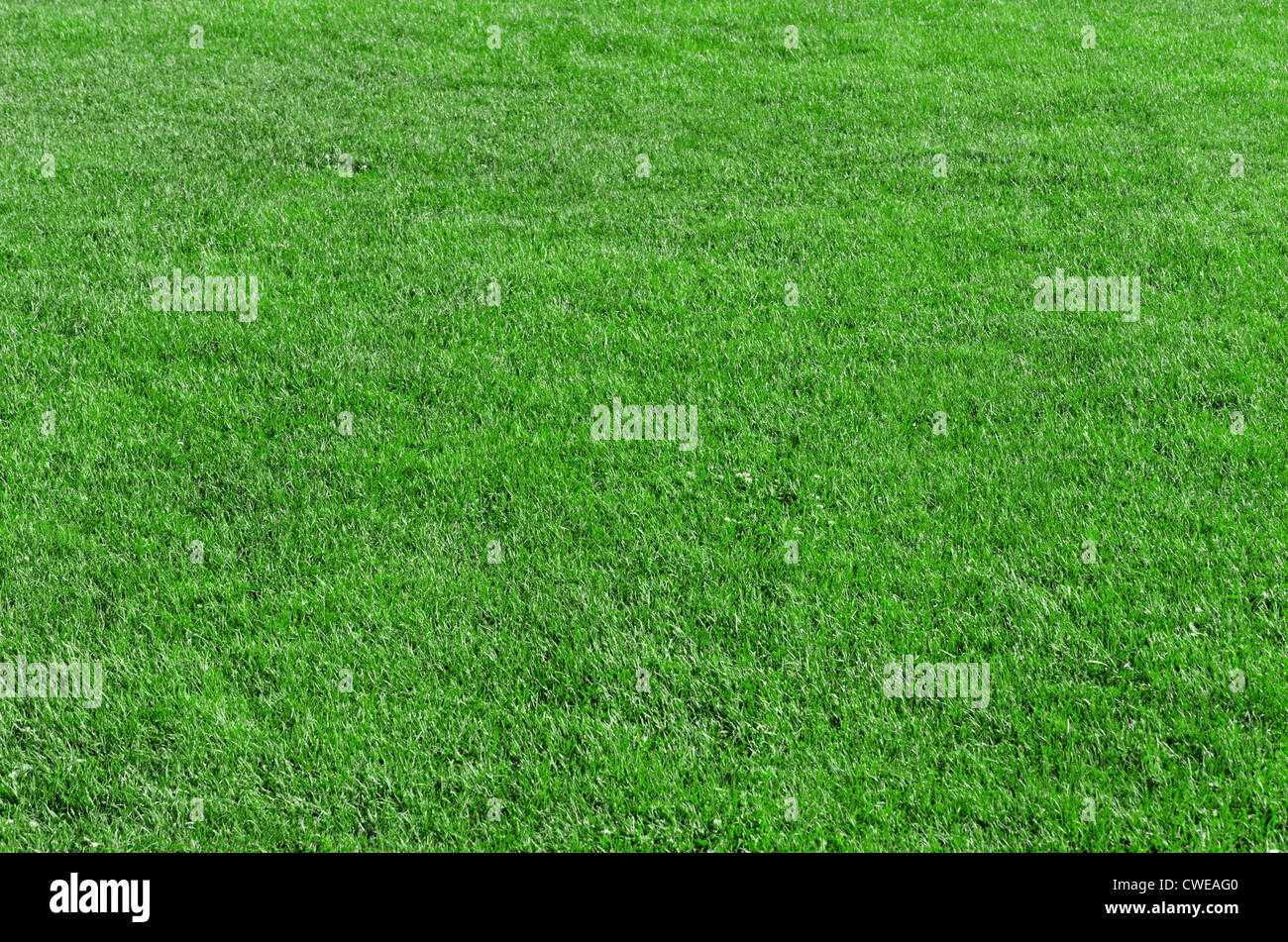 Stock soccer field hi-res stock photography and images - Alamy