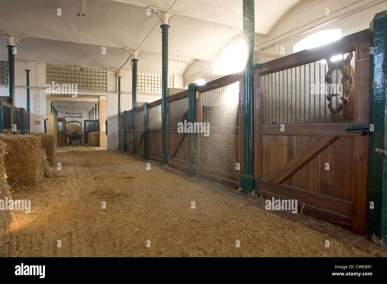 Stableview hi-res stock photography and images - Alamy
